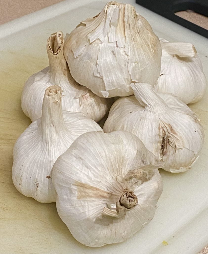 Roasted Garlic (an Italian American Recipe)