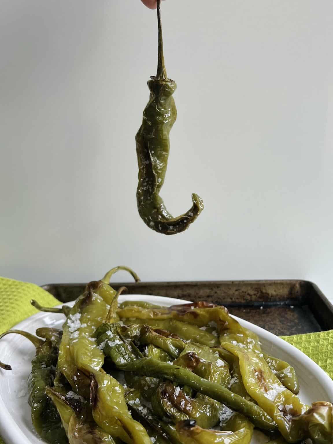 Long Hot Peppers Recipe - Mangia with Michele