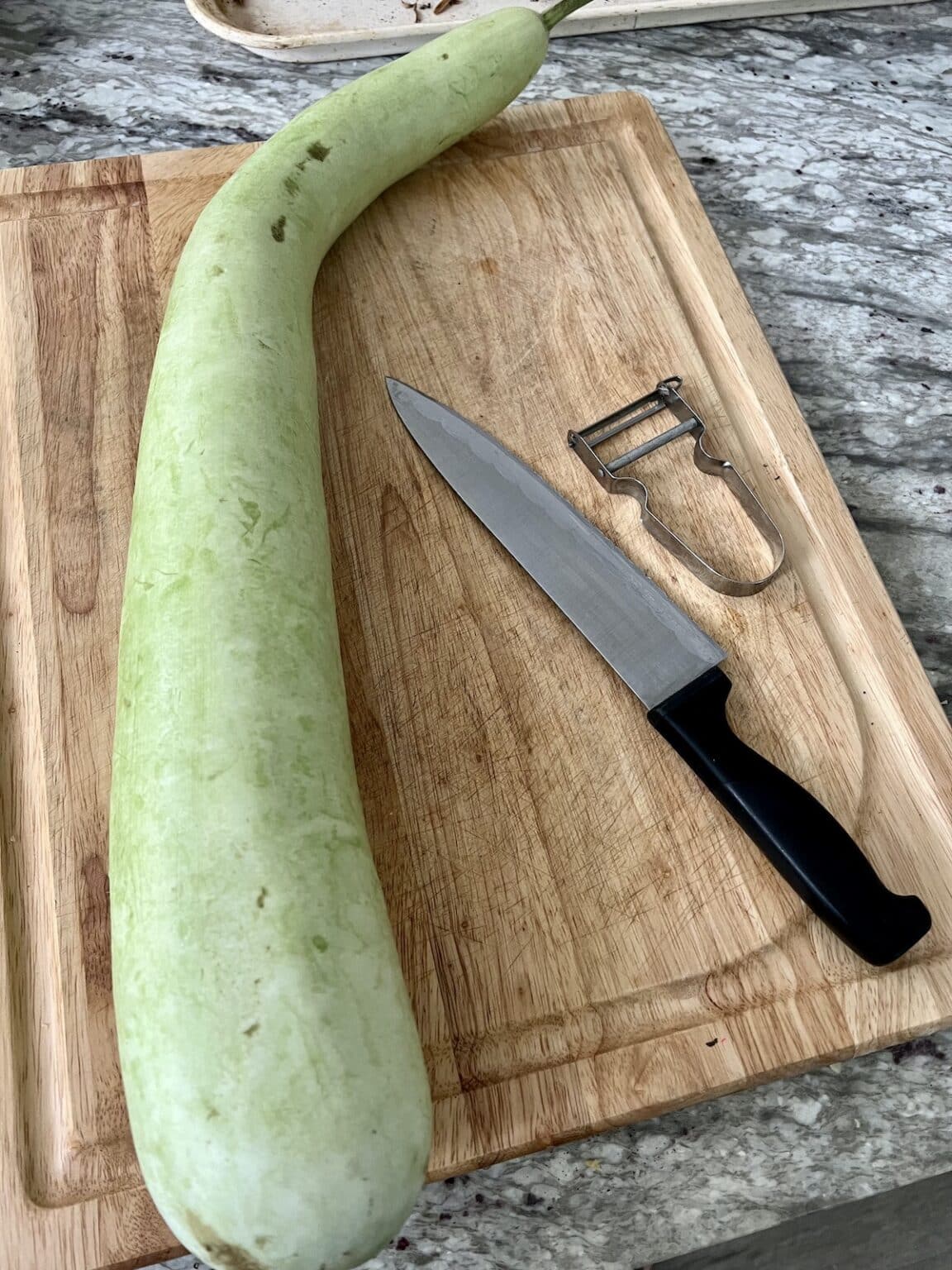 Cucuzza Soup (Sicilian Squash Soup) - Mangia with Michele