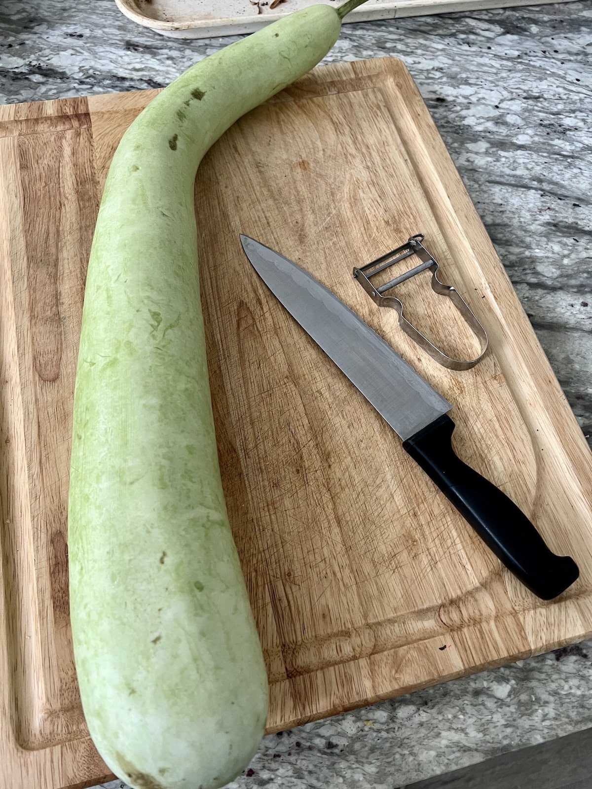 Cucuzza Soup (Sicilian Squash Soup) - Mangia with Michele