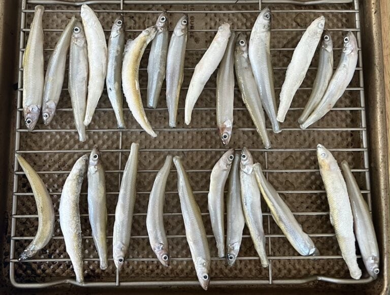 Crispy Pan Fried Smelts (Italian Christmas Eve Recipe)