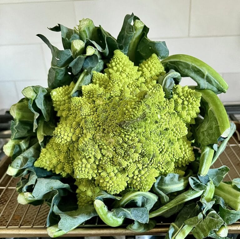 Lemon Roasted Romanesco Broccoli – Easy & Perfect for Fall!